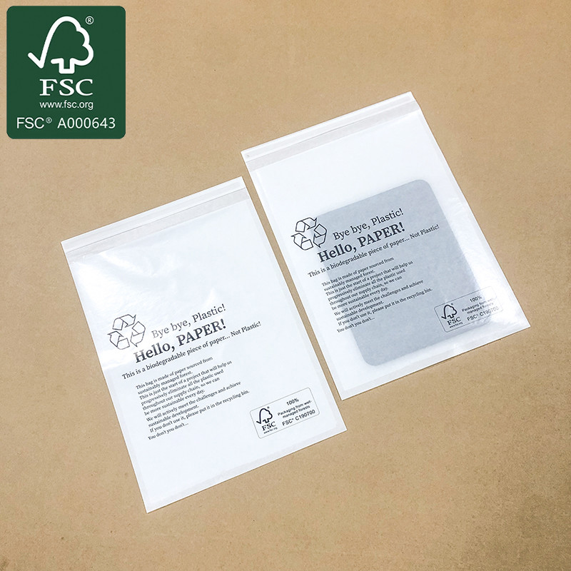 Custom Translucent Eco Friendly Logo Printed Paper Bags